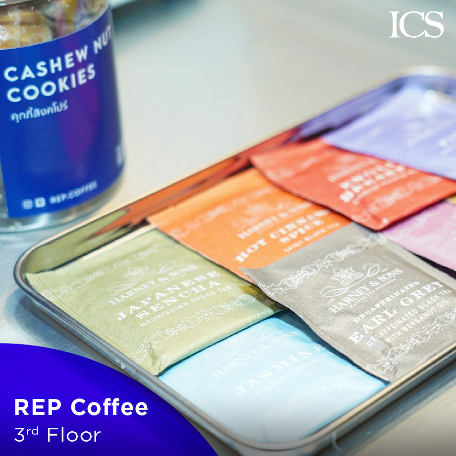 ICS Mixed-Use Lifestyle Town