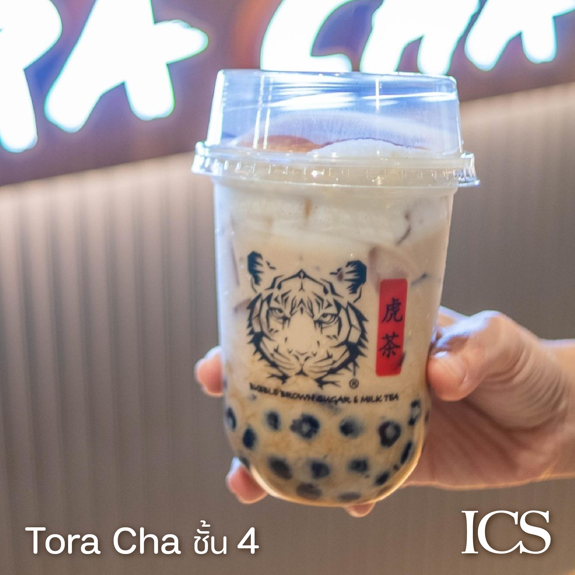 ICS Mixed-Use Lifestyle Town