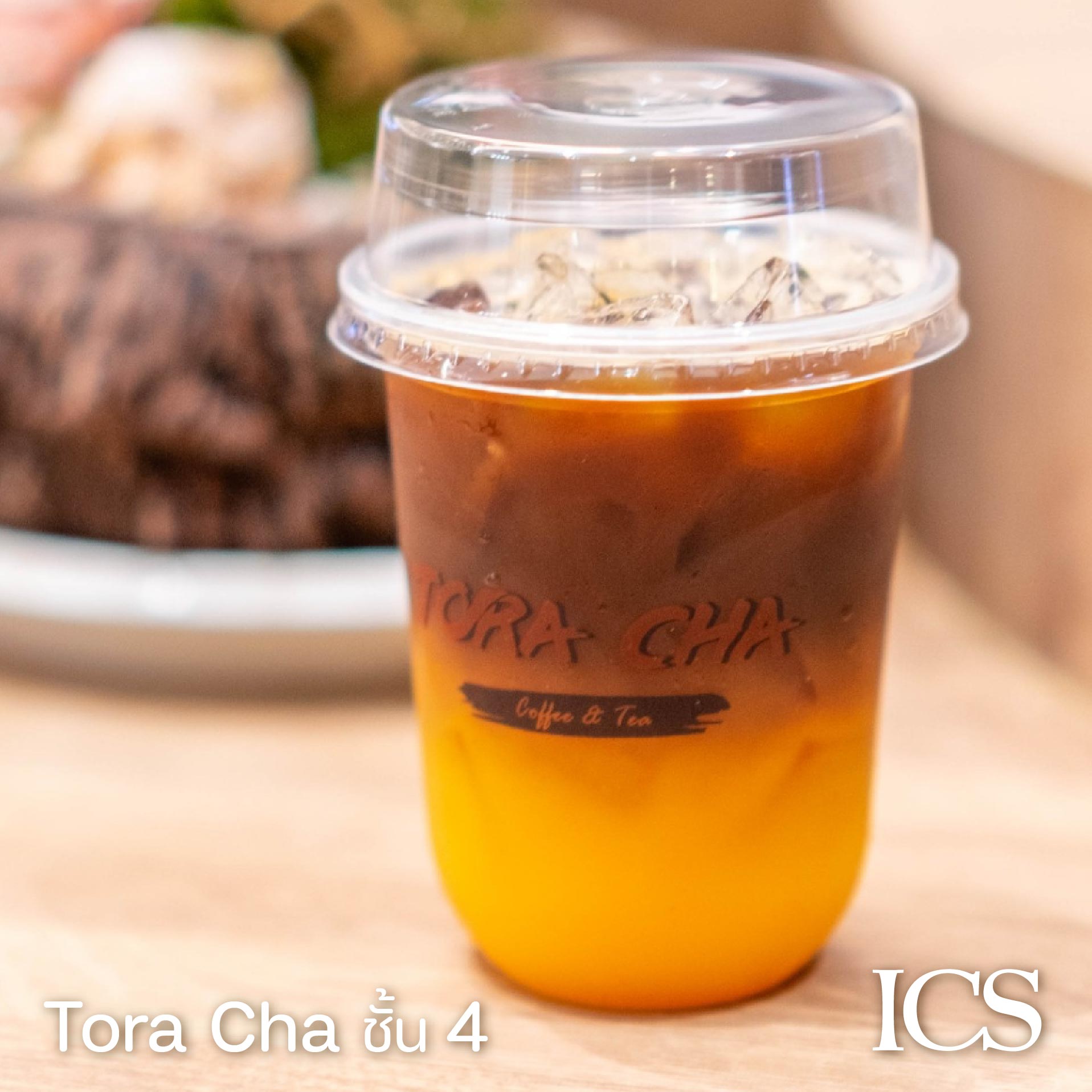 ICS Mixed-Use Lifestyle Town