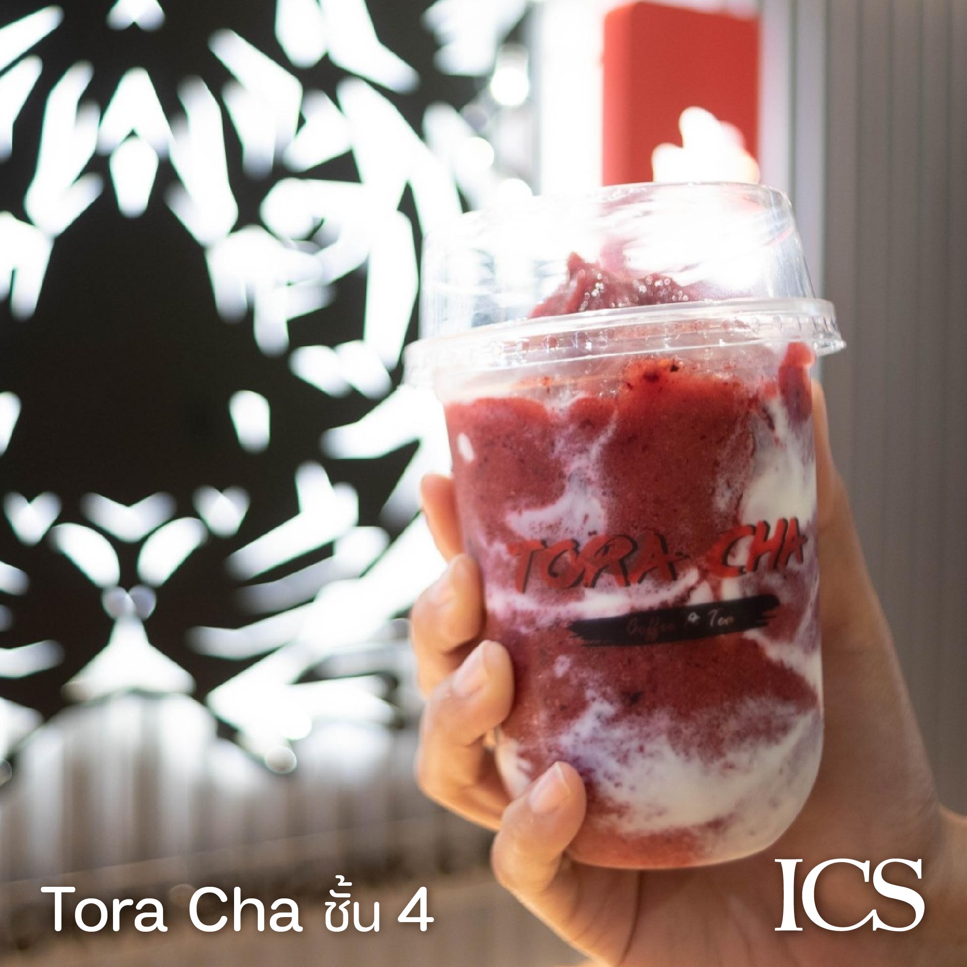 ICS Mixed-Use Lifestyle Town